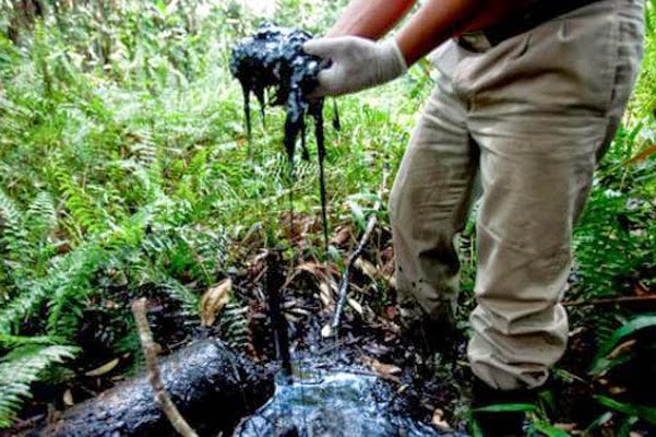 VISIONESDELAMATRIX: Chevron causó contaminación generalizada en selva ...